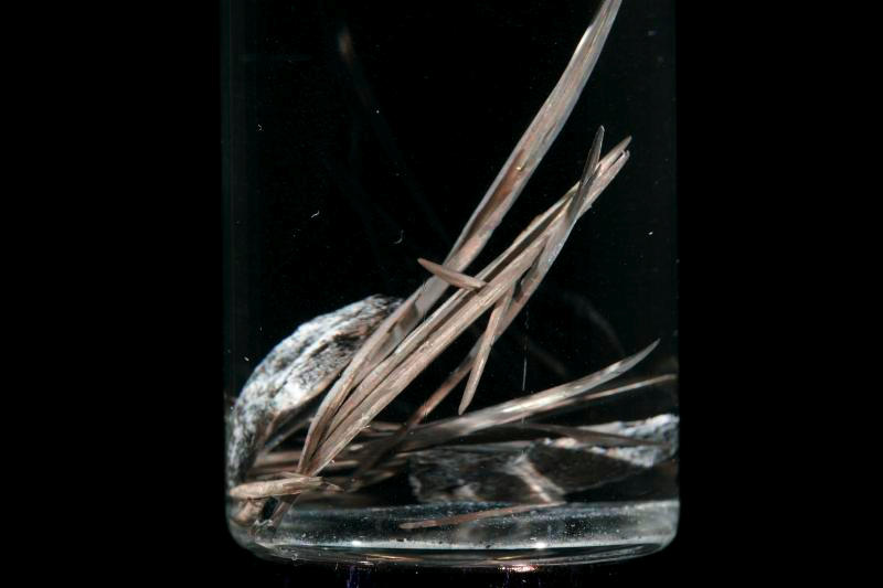 Sample of the element Strontium in the Periodic Table