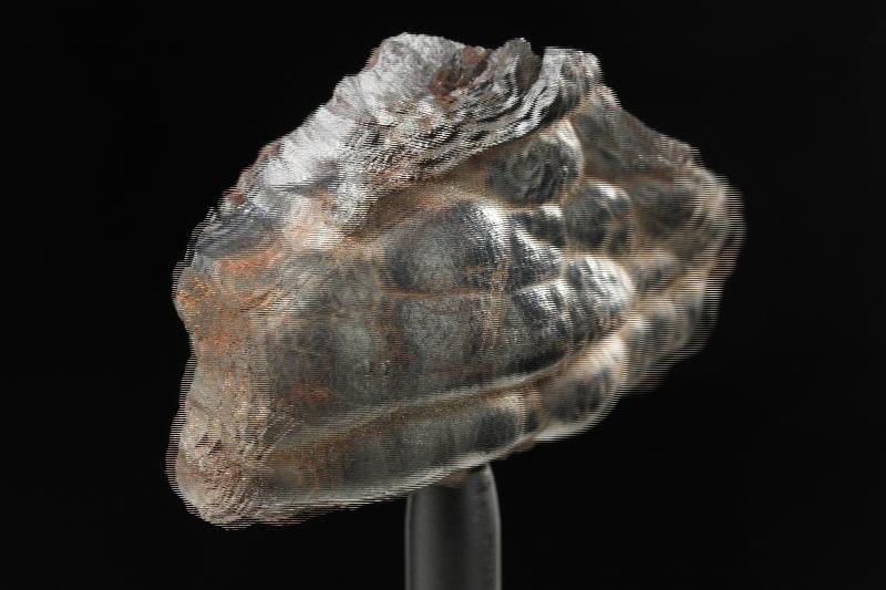 Native Iron From Jensan Set A Sample Of The Element Iron Facts ...