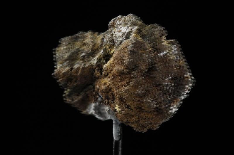 Sample of the element Iron in the Periodic Table Sample of the element Iron in the Periodic Table