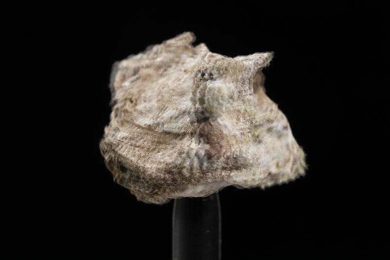 Sample of the element Sodium in the Periodic Table